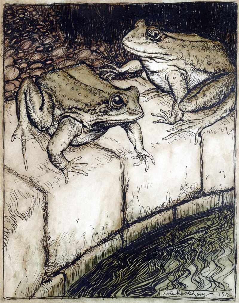 Fables, frogs, and philosophy | Mythic Mojo