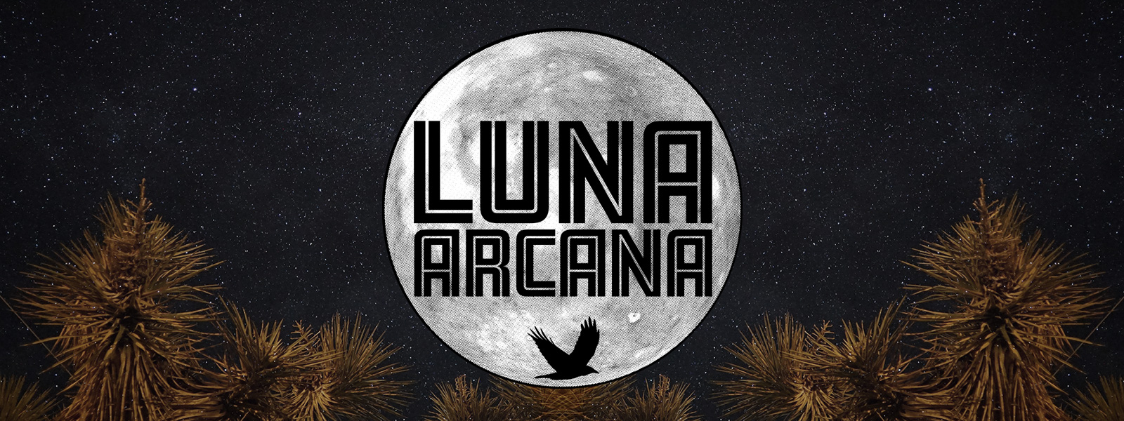 On Animism + Anthropomorphism, a conversation on the Letters from Luna ...